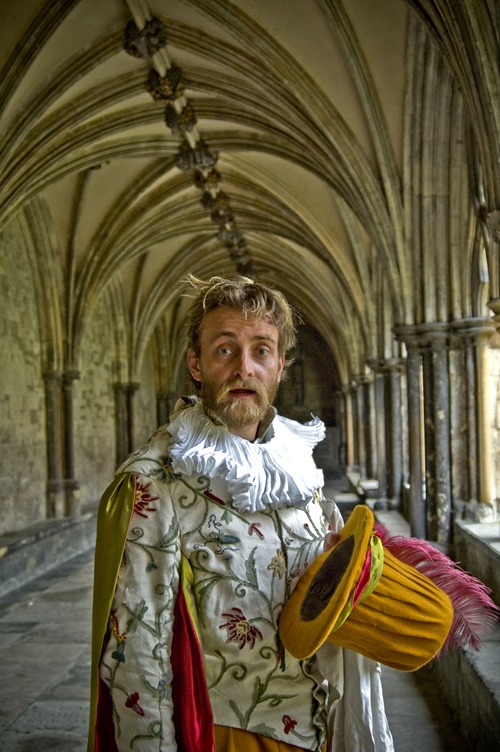 The Bard's Fool - Tim FitzHigham